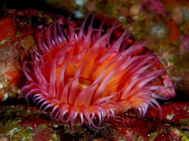 Sea-Fisheries Protection Authority meets with Representatives of ...