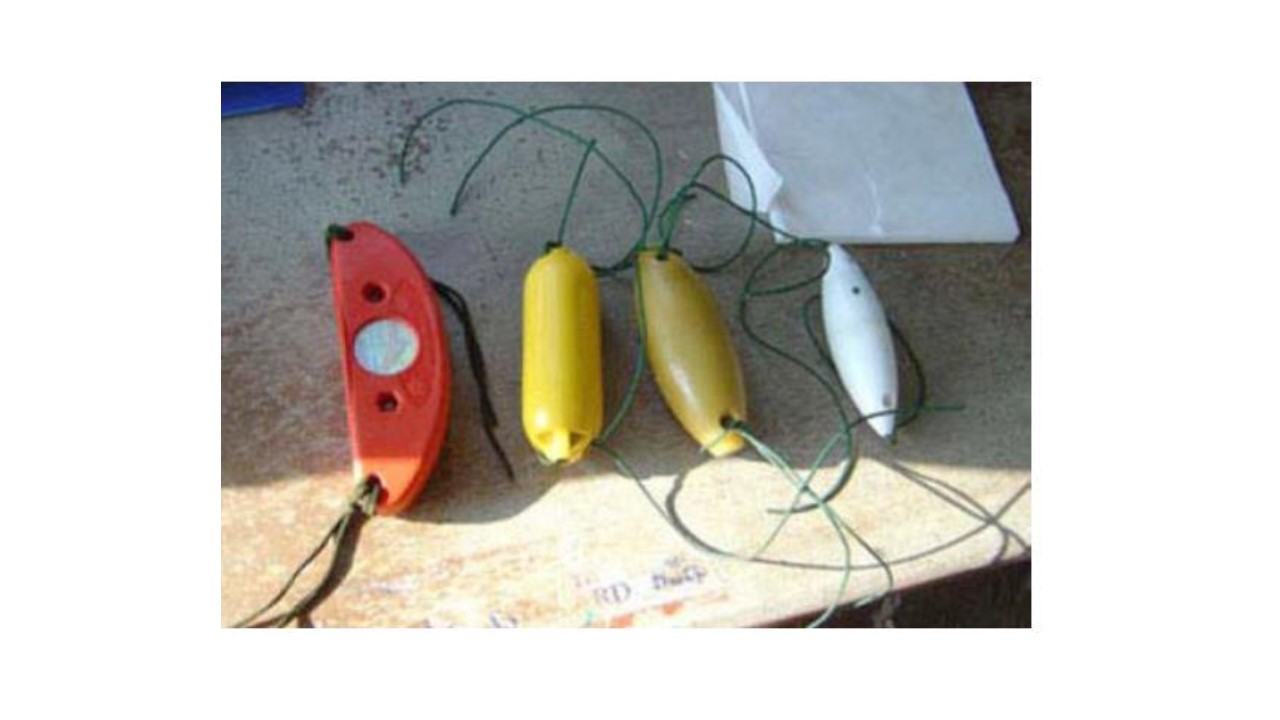 Fishing Master Convicted and Fined for Non-Compliance with Acoustic ...